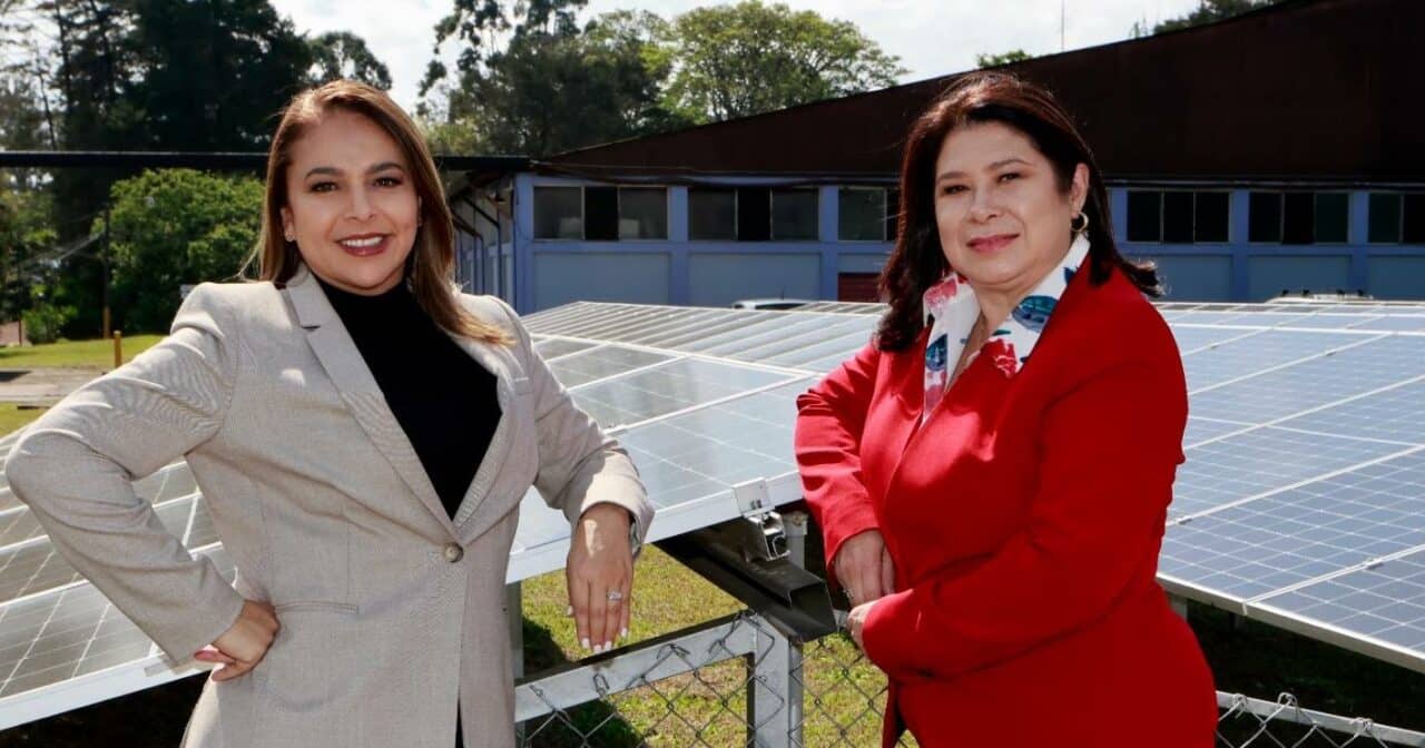 Centenario Internacional: La naturaleza como aliada - Revista Summa