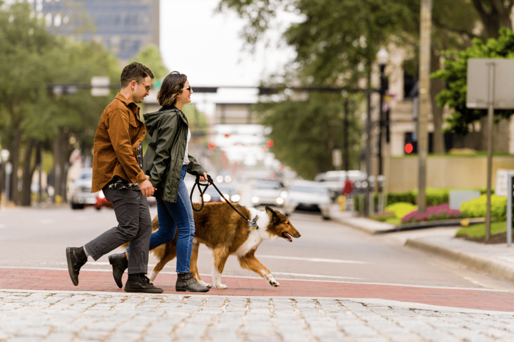Día Mundial de Llevar el Perro al Trabajo: Beneficios para el bienestar ...